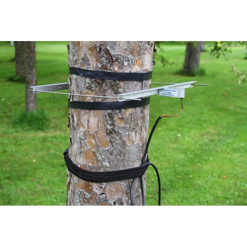 Diameter Dendrometer Large : DD-L | Ecomatik
