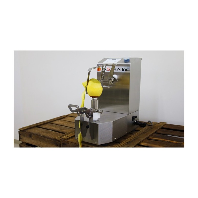 Automatic Pineapple, Mango and Melon Peeling Machine : KA-750PM | Astra ...
