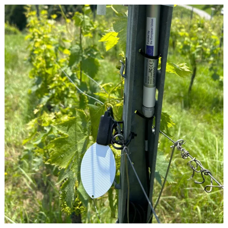Leaf wetness LoRaWAN sensor : SLW10 | Senzemo