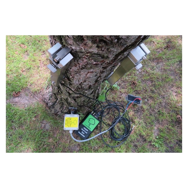 Root And Trunk Testing System: DynaTree | Fakopp
