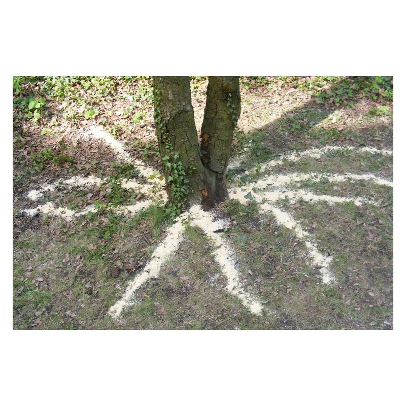 Root Detector | Fakopp