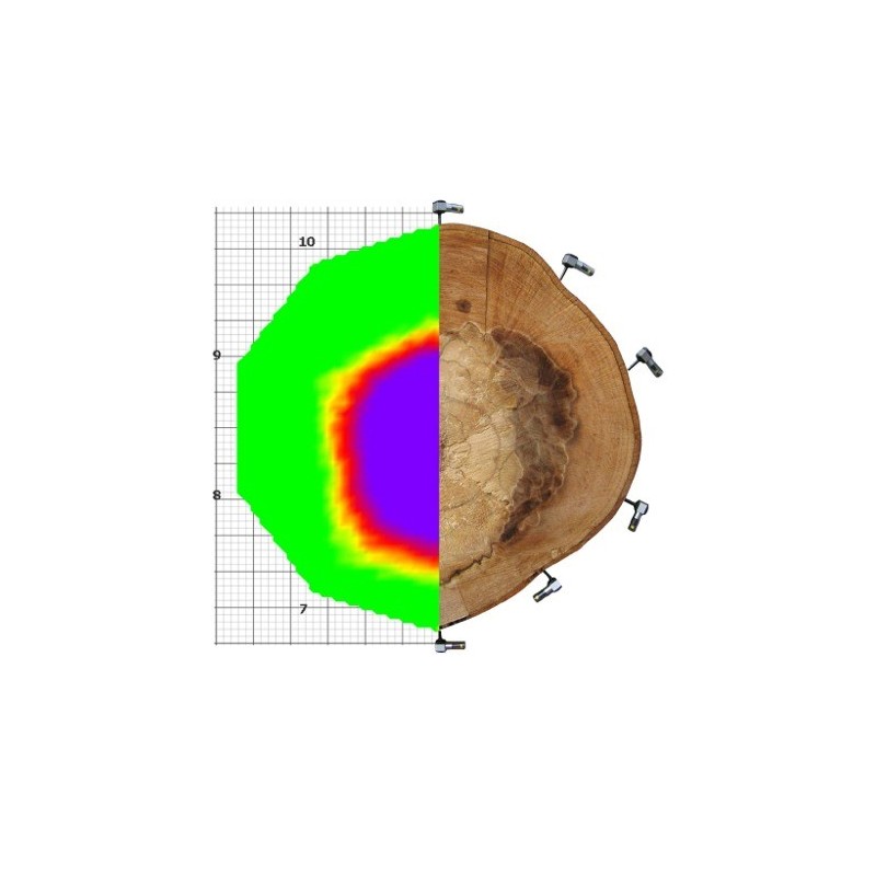 Acoustic Tree Tomograph: ArborSonic 3D | Fakopp