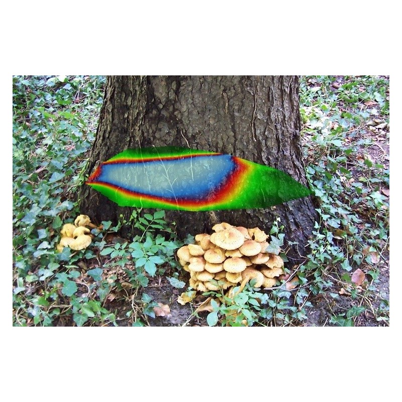 Acoustic Tree Tomograph: ArborSonic 3D | Fakopp