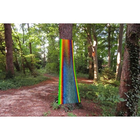 Acoustic Tree Tomograph: ArborSonic 3D | Fakopp