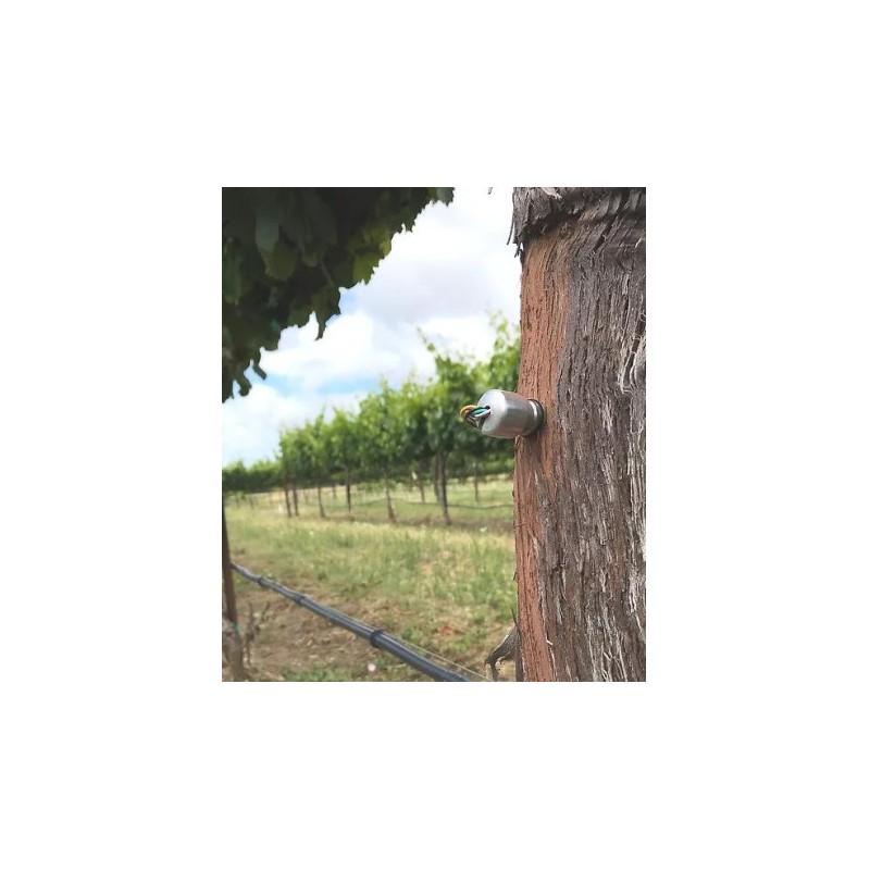 Microtensiometer water potential sensor for plants | FLORAPULSE